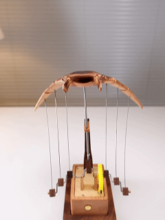 Wooden Automata Collection | Handmade Kinetic Sculptures by MARINER POET